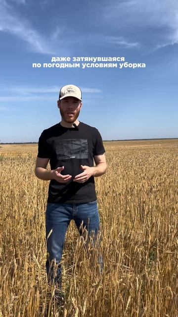 Как получить максимальную урожайность при уборке