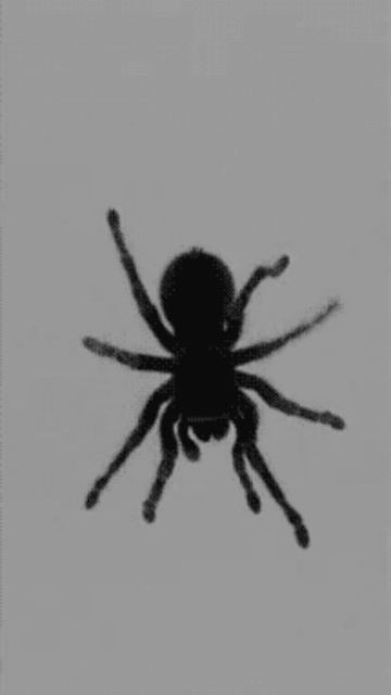 Ааааааааааа