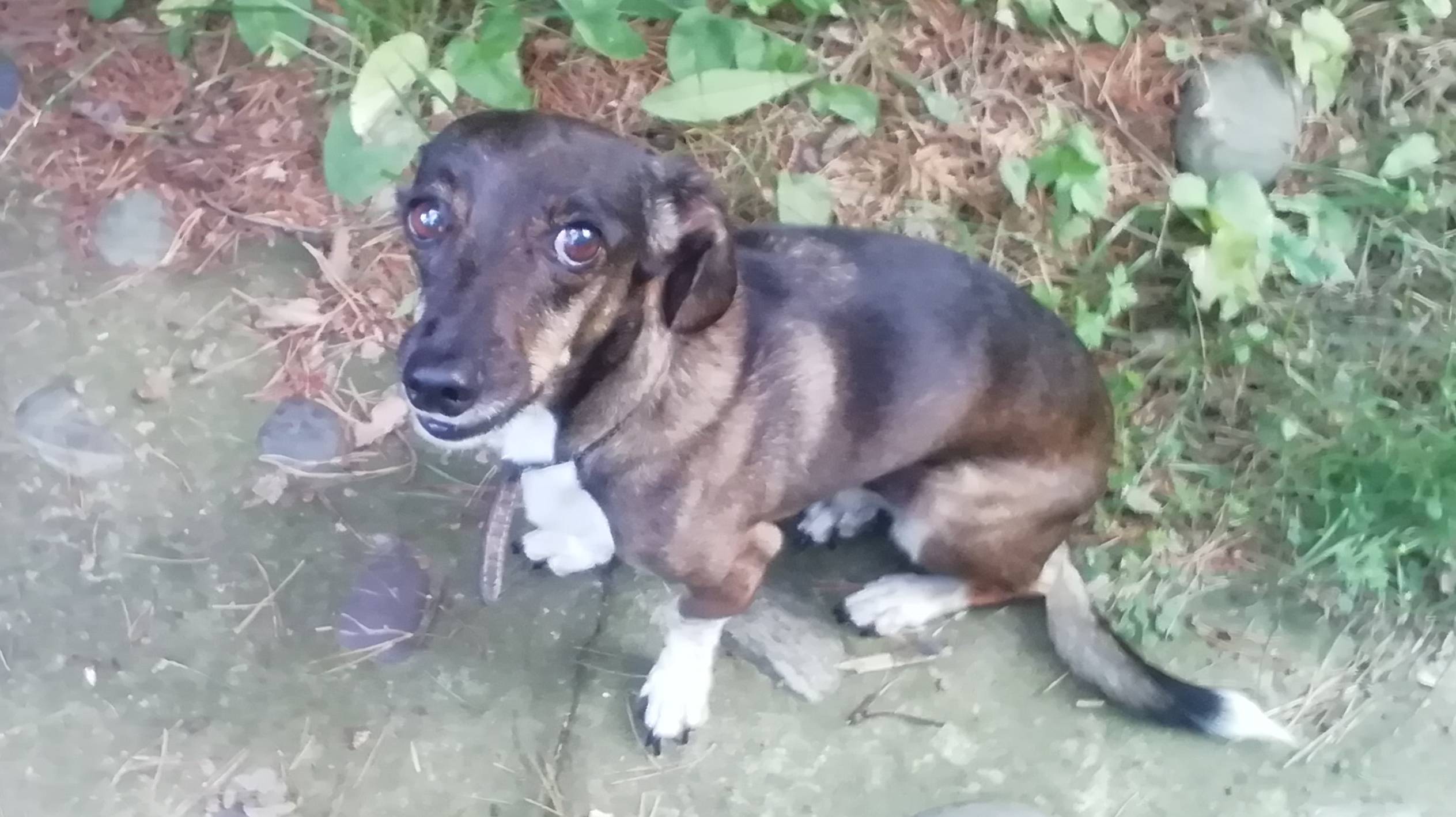 Встреча закадычных друзей!