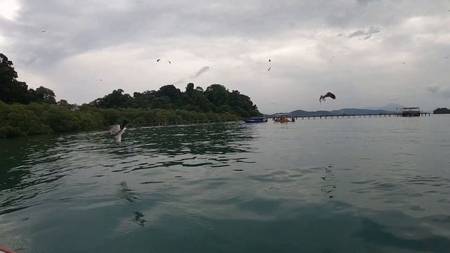 Лангкави глазами туриста обыкновенного.  Часть 2.
