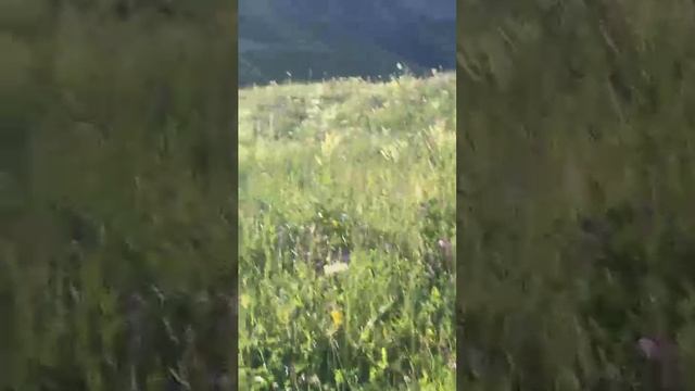 Красота природы