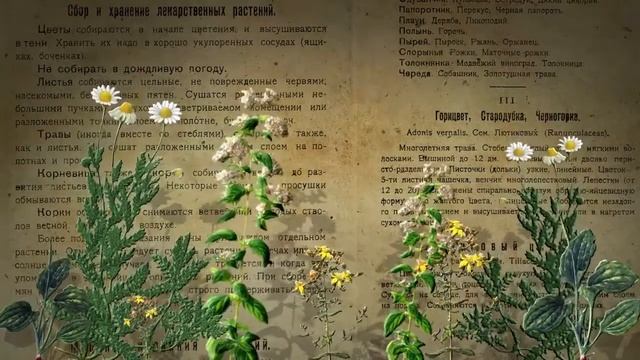 «Три века первой пермской аптеки»