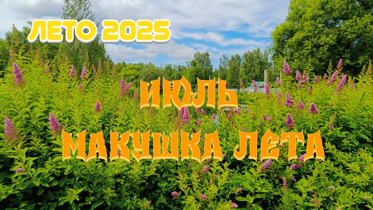 Лето 2025: Сад в июле