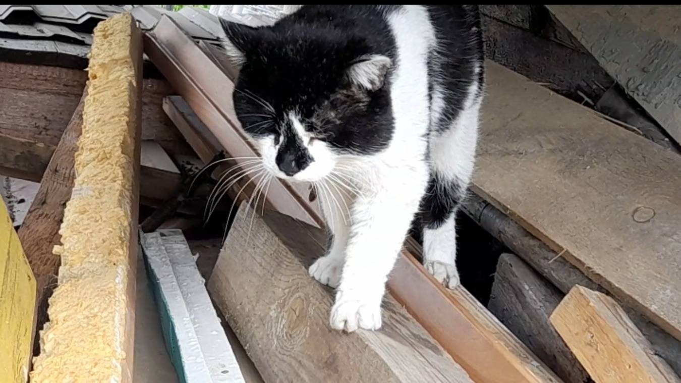 1000041877.mp4 Митя раскрывает свои явки