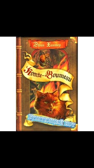 Ахахахахахвхааххвхв #КВ #Мемы