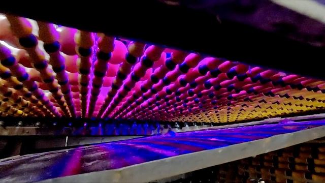 Сделано в Хабаровском крае. Племптицезавод часть 1