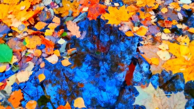 куаутлитеотлЬ - Гласомузия естезвучие