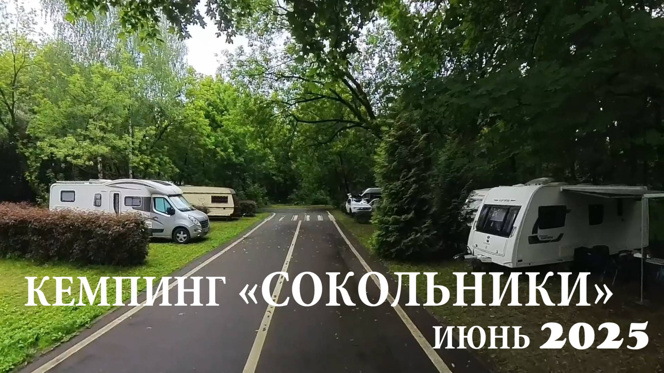 Кемпинг "Сокольники" июнь 2025
