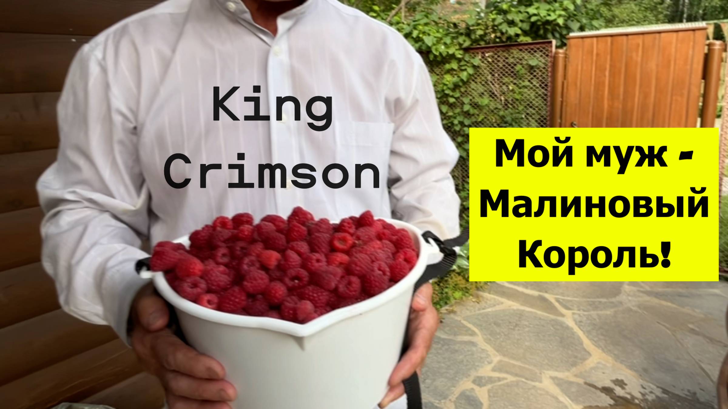 Муж - Малиновый рекордсмен! Наш урожай 14 июля