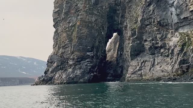 Медведи Охотского побережья. Весенняя охота 2025 года