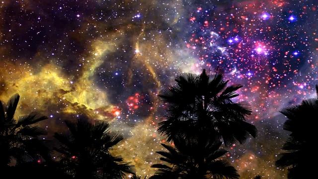 Мадам
Михаил Круг.✔