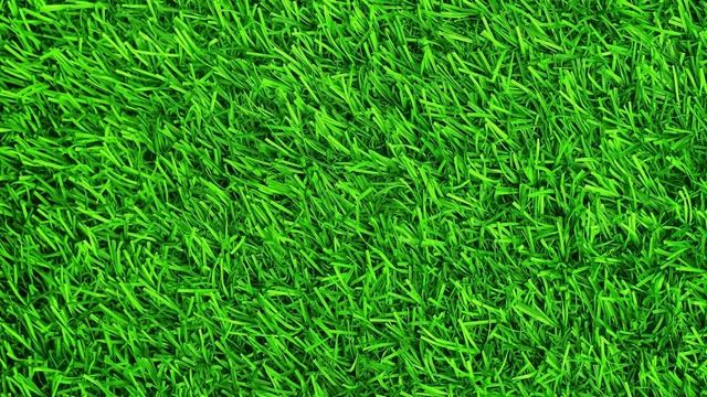 ул. Новая 7-1 - Июнь 2025