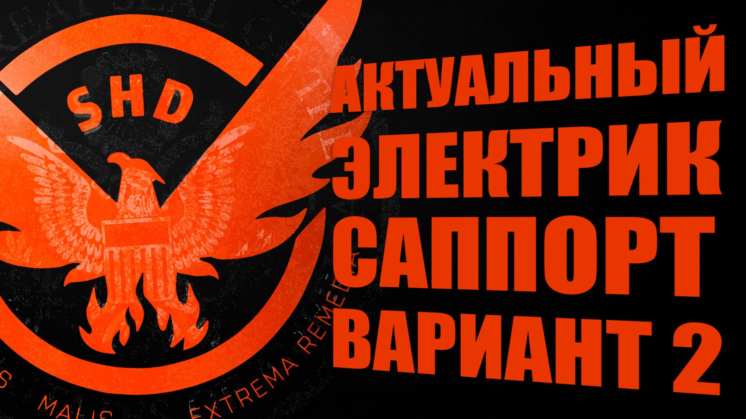 Актуальная сборка Электрик ленивый билд саппорт вариант два The Division 2