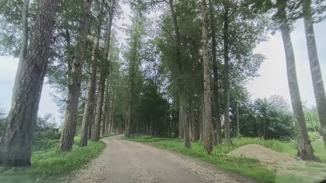 Усадьба фельдмаршала Витгенштейна. Лесная дорога в стиле Восточной Пруссии.