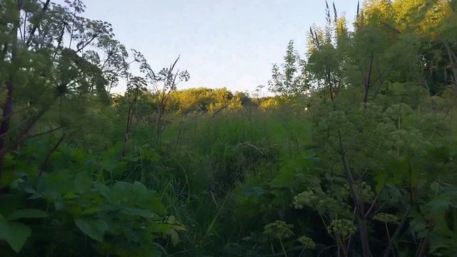 13 июля 2025 г. Радуемся погоде!Тепло! Хорошо!