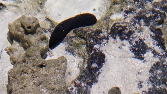 Лангкави глазами туриста обыкновенного.  Часть 4.