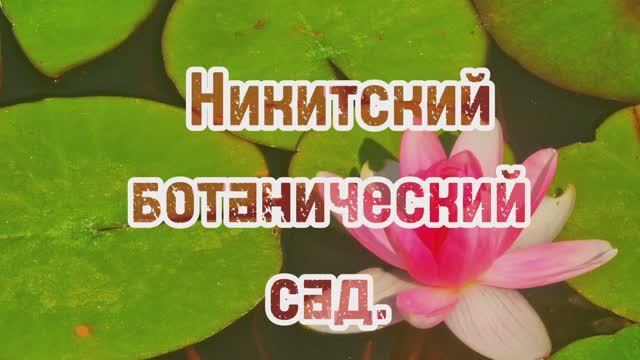 Никитский ботанический сад