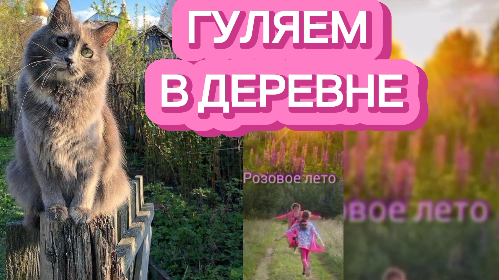 Лето.Гуляем по деревне. Что увидели,чему удивились...