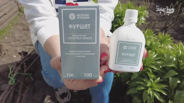 Защита от солнечных ожогов для крепких завязей винограда