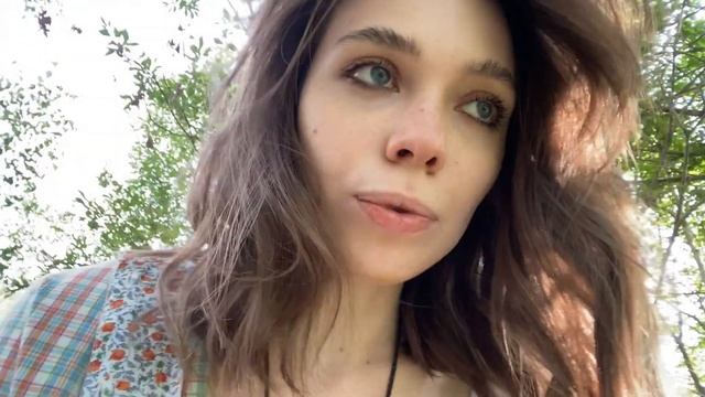 дача, мысли, творчество