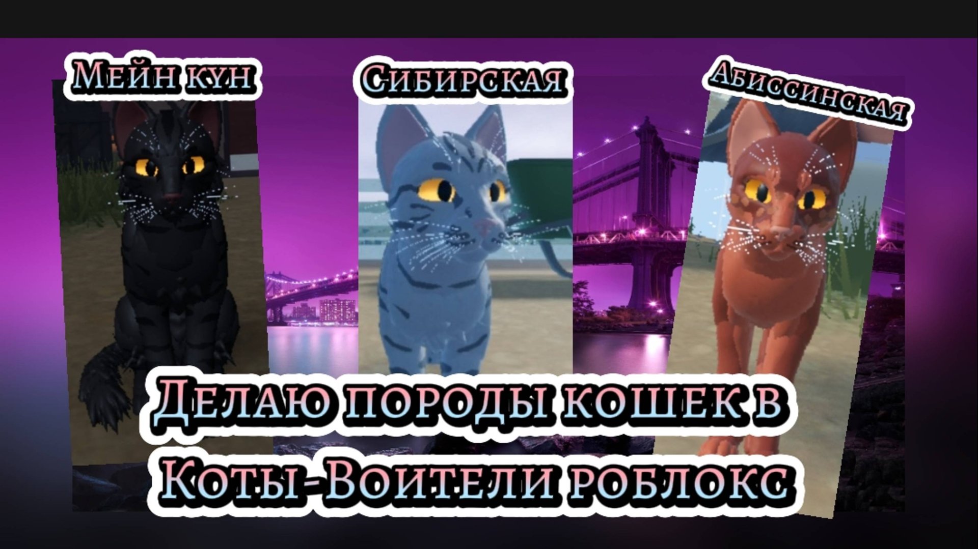 Делаю породы кошек в Коты-Воители Роблокс