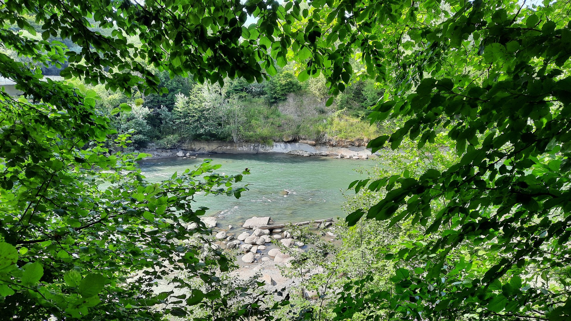 Рыбалка. Остались без рыбы.