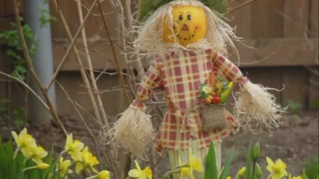 🎥 Пугало на даче: охрана с характером!