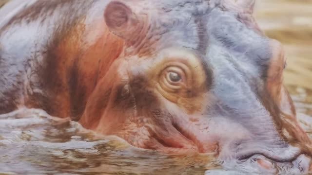 Целительная сила искусства | Анна | Free Hand