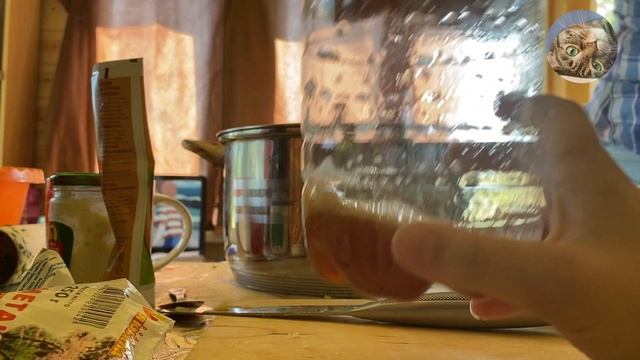 Сделала окрошку с котом Андреем!