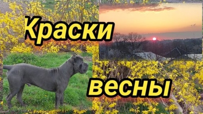 Краски весны на Кубани.