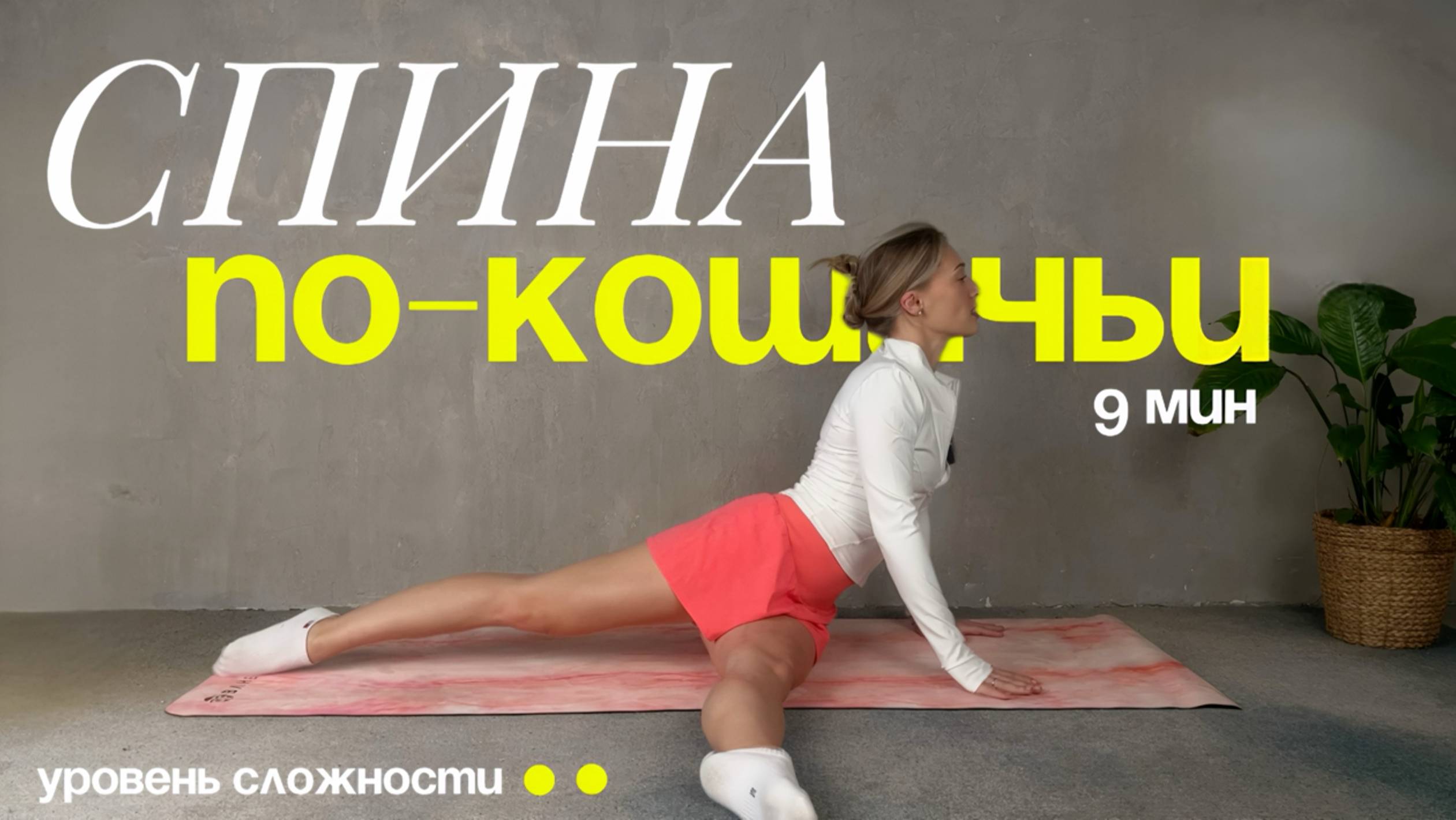 🐈⬛Комплекс на ГИБКОСТЬ спины и ЗДОРОВЬЕ осанки! Волны и скрутки.