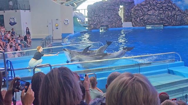 ✨️ Приморский  Океанариум ✨️