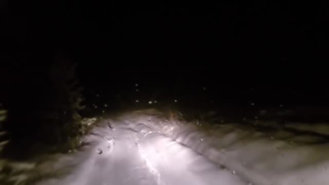 Снежный человек или нет？