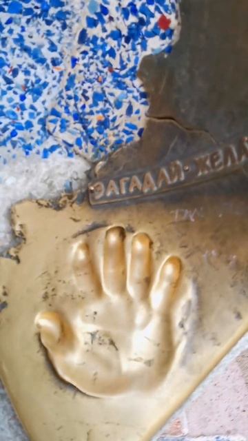 Ухо, исполняющее желания. Мечты сбываются в Сочи.