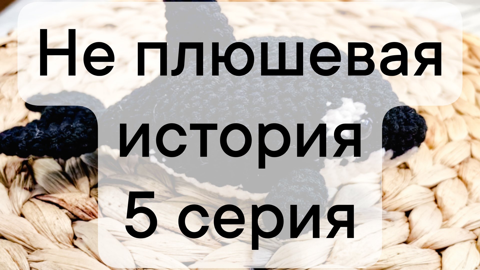 не плюшевая история 5 серия