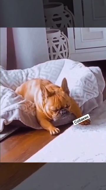 То самое утро, когда тебе на дежурство....