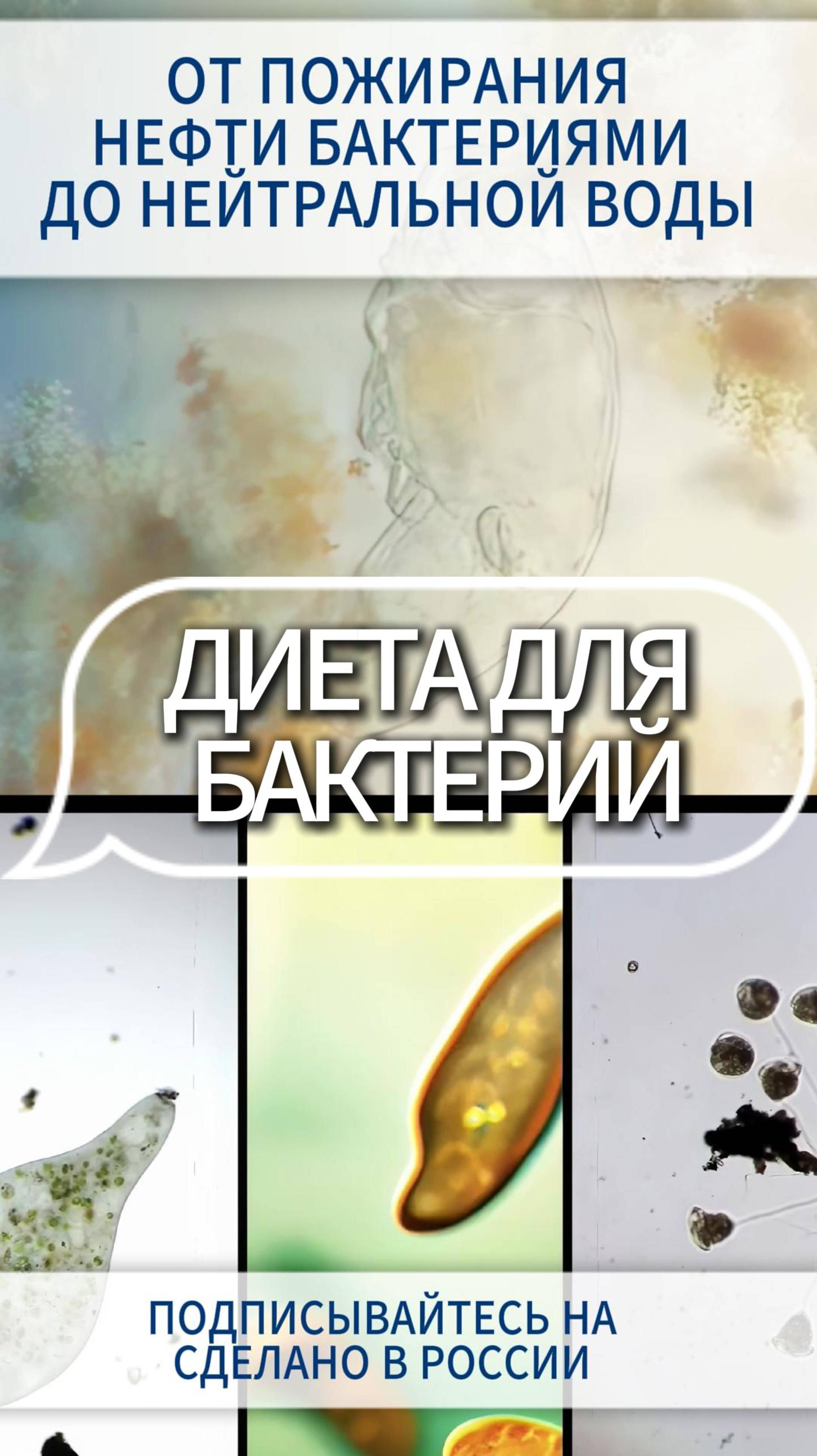 ДИЕТА ДЛЯ БАКТЕРИЙ. Полезные бактерии БИОСФЕРЫ. Смотрите  https://rutube.ru/video/90f25a2d0c0