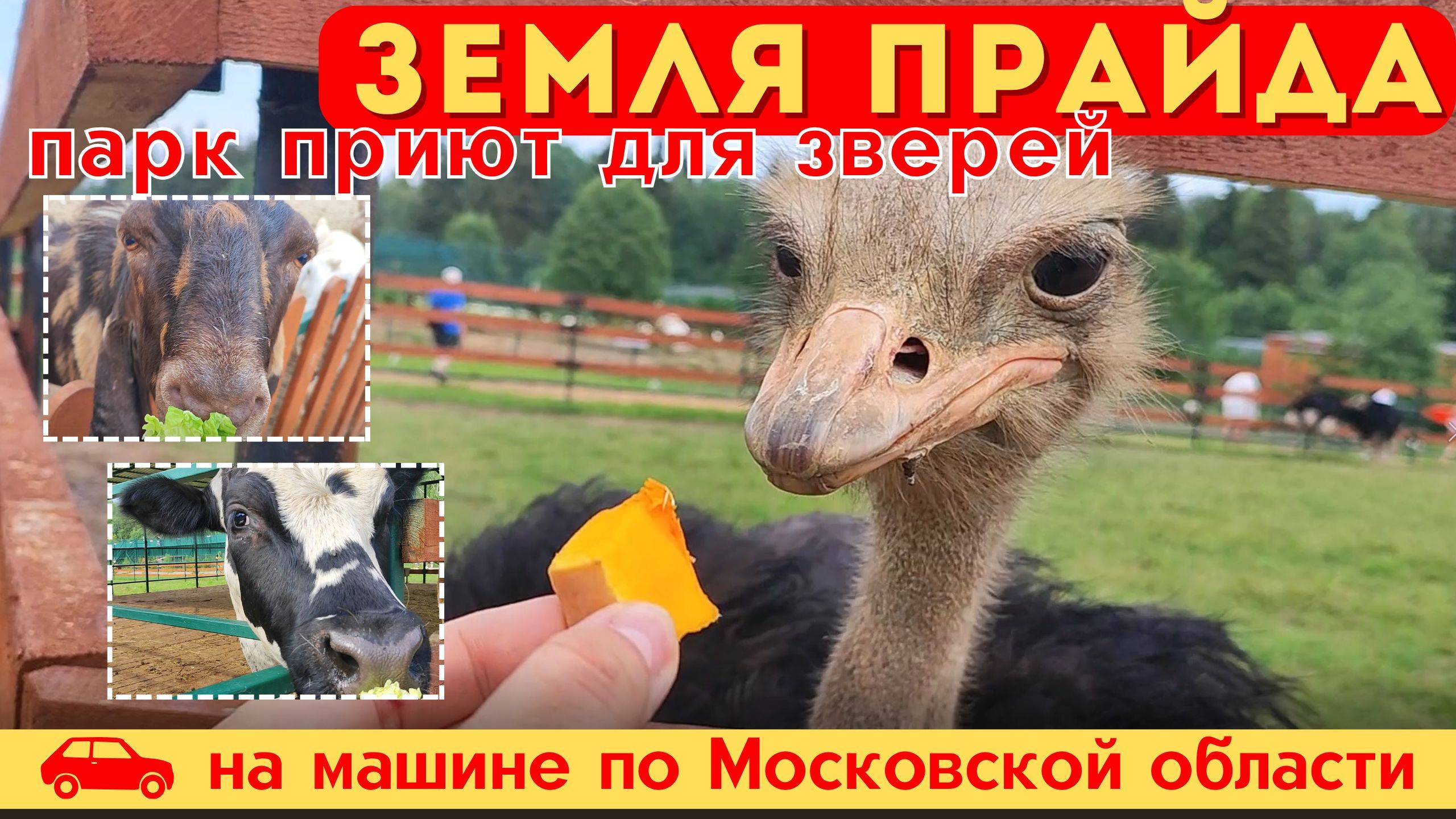 ПАРК ЛЬВОВ "ЗЕМЛЯ ПРАЙДА" 2025 - Колдовские путешествия