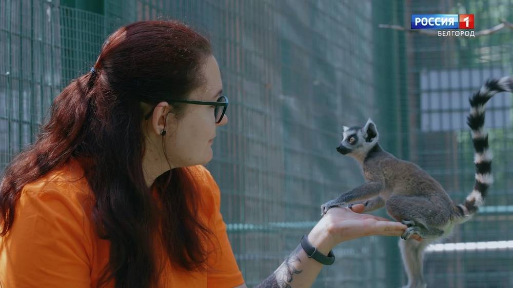 Рабочий? Класс! Профессия: кипер