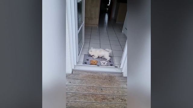 чистота превыше