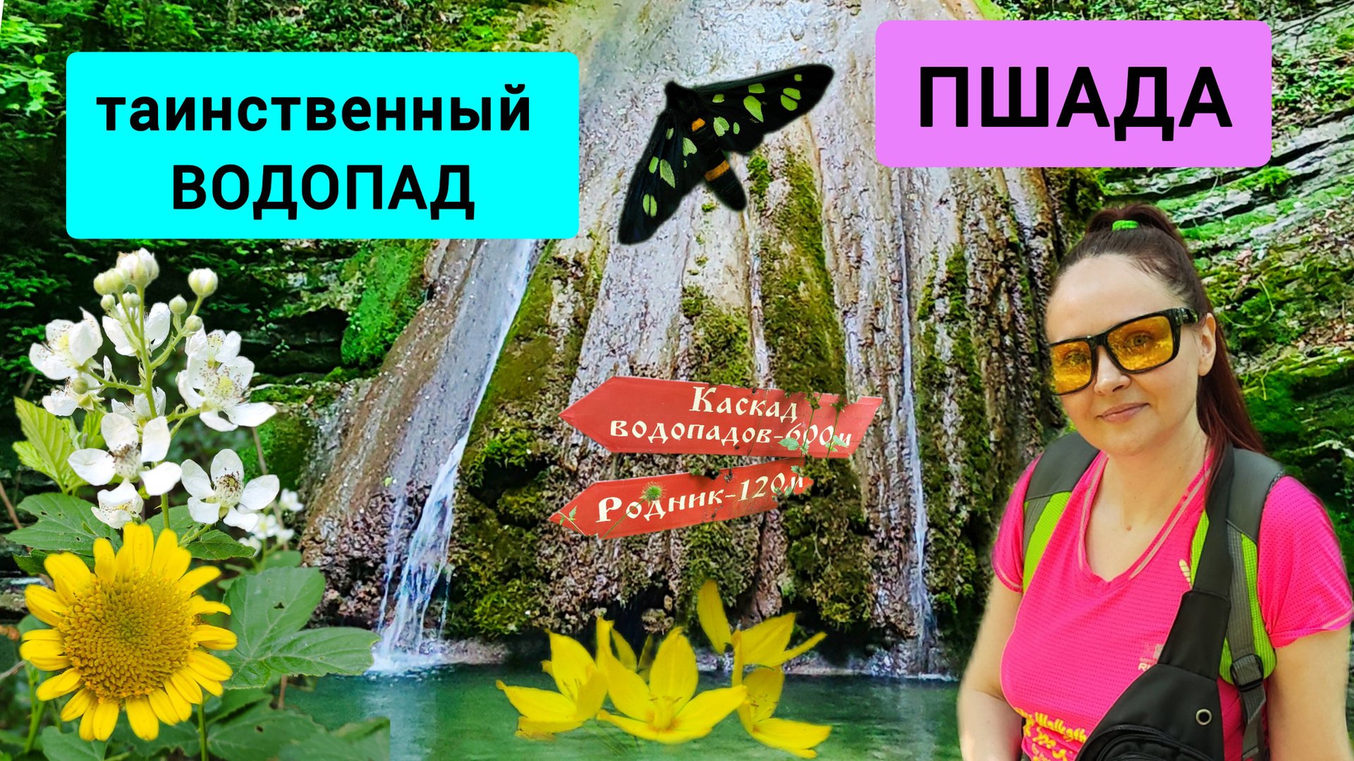 #157 Пшада и таинственный ВОДОПАД. Дегустация МЁДА #леснаяцаревна #пойдемсомной #sumkiberry