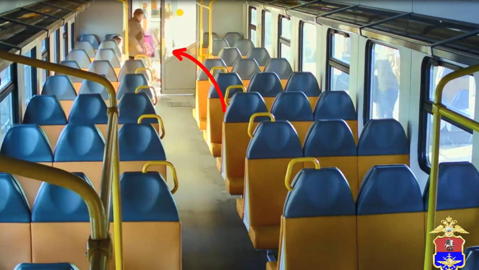 Транспортные полицейские задержали москвича за кражу сумки у пассажирки электрички