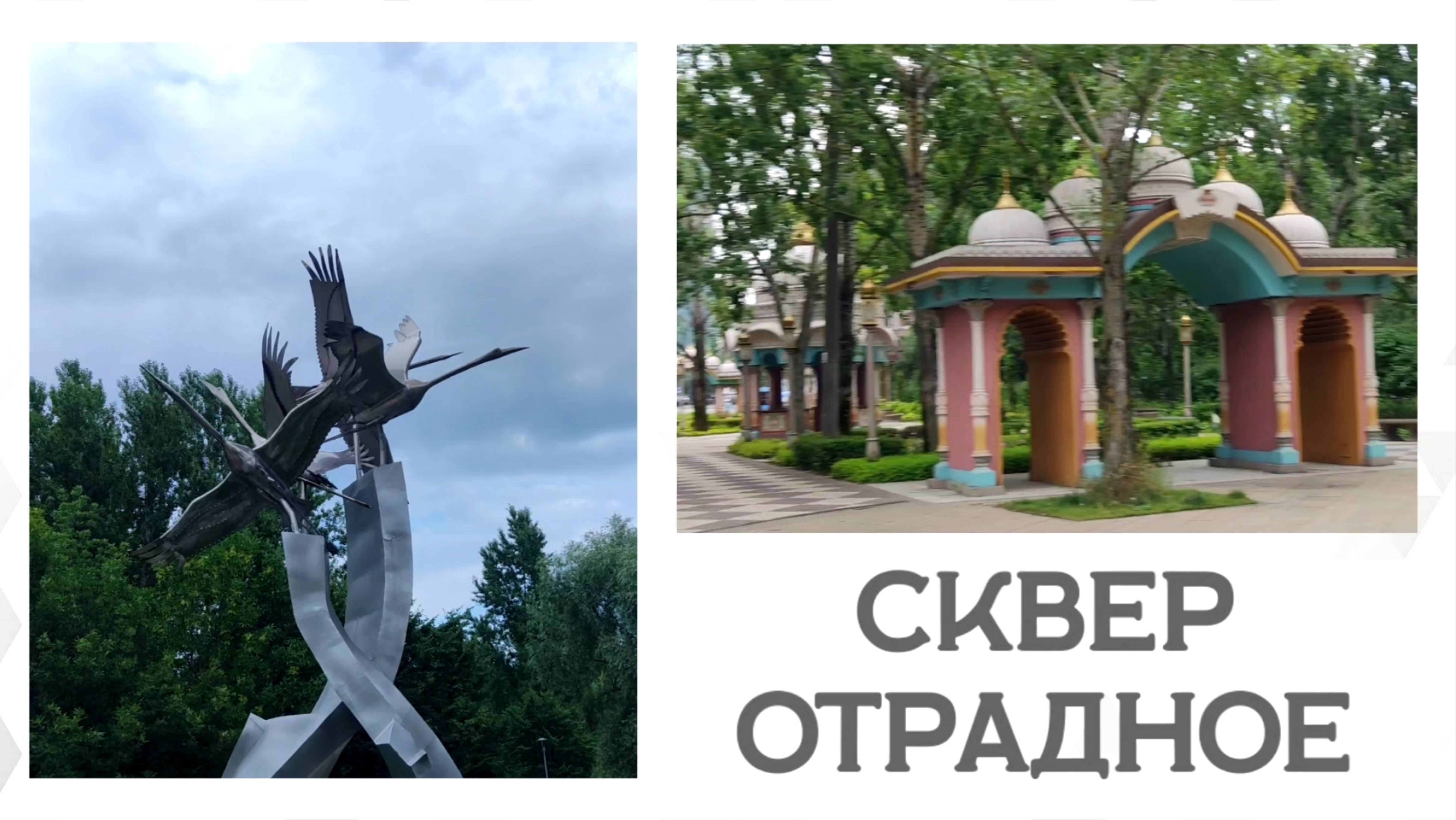 Сквер Отрадное 14.07.2025 года.