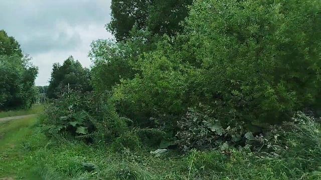 Работы на против дома