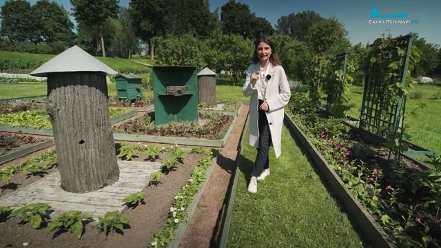 Царские огороды Петергофа