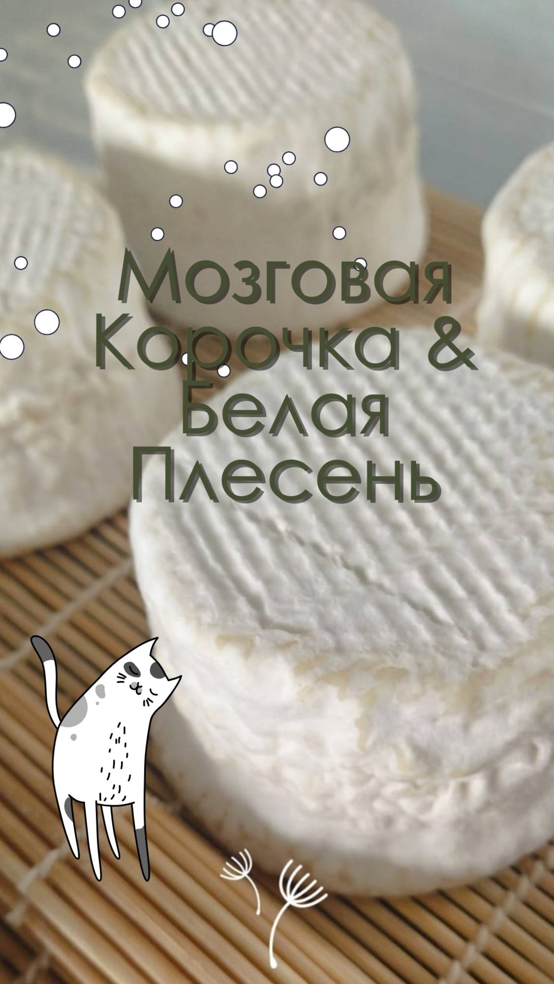 Мозговая Корочка & Белая Плесень: Наш «По де Ша» Готов!