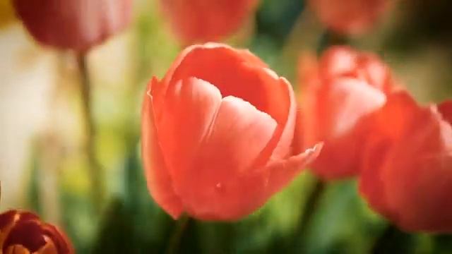 Расслабляющая музыка, снимающая стресс, тревогу и депрессию для сна