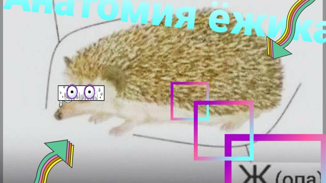 тю лю лю лю лю Ёжик мем