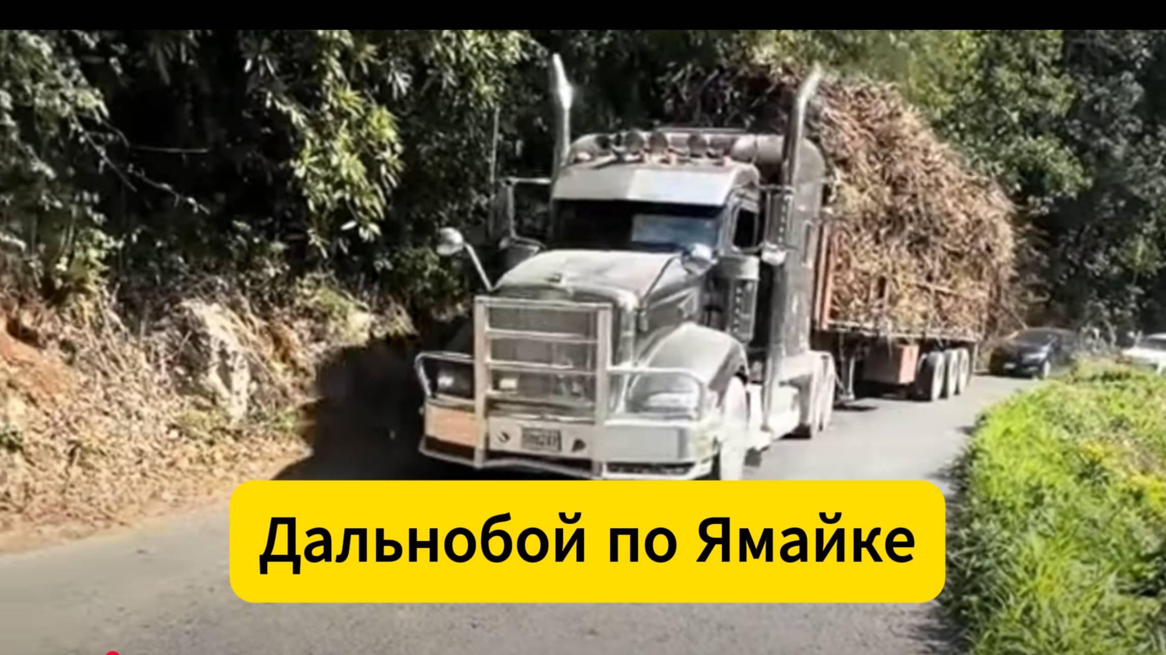 Ямайские водители тростника отправляются в Дальнобой
