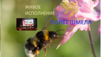 "Полет шмеля" — на балалайках, фоно и ударных. Музыка Римского-Корсакова на бис